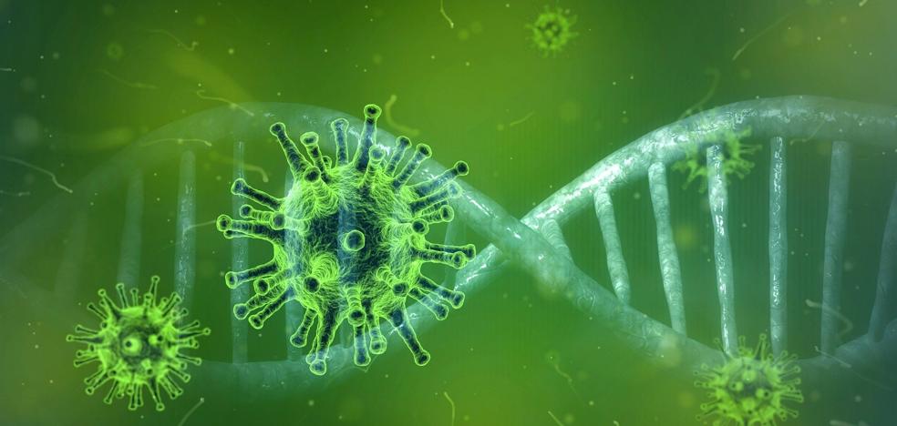 Coronavirus: conociendo al enemigo | leonoticias Coronavirus: conociendo al enemigo | leonoticias